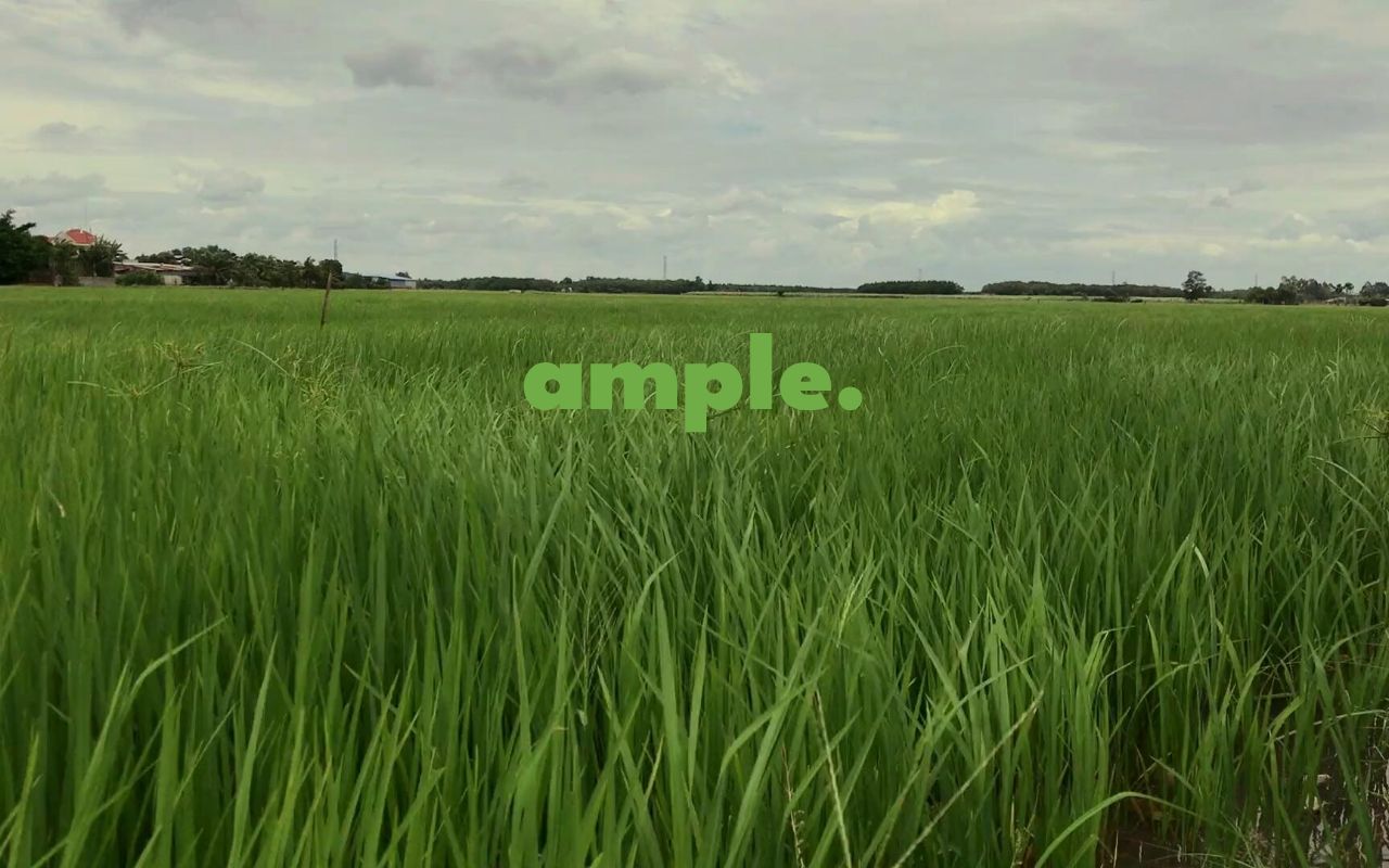 ample.land